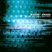 【WANDS】 AWAKE | J-POP | 宅配CDレンタルのTSUTAYA DISCAS