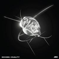 ECHOES of DUALITY | 宅配CDレンタルのTSUTAYA DISCAS